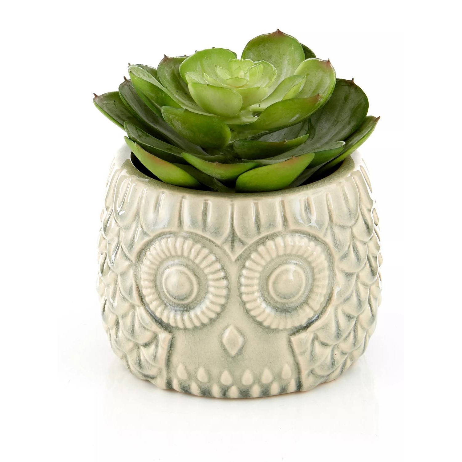 Fiori Large Succulent in Grey Ceramic Owl Pot – Julian Charles Home