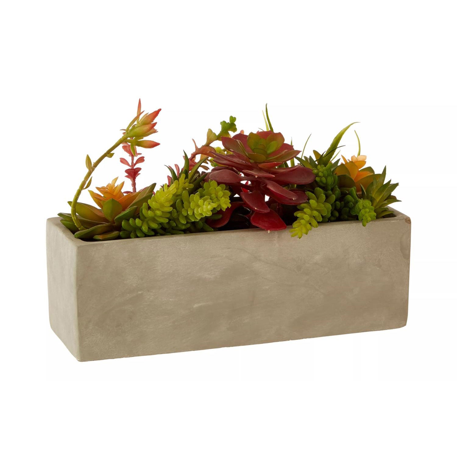Fiori Mixed Succulents with Cement Pot – Julian Charles Home