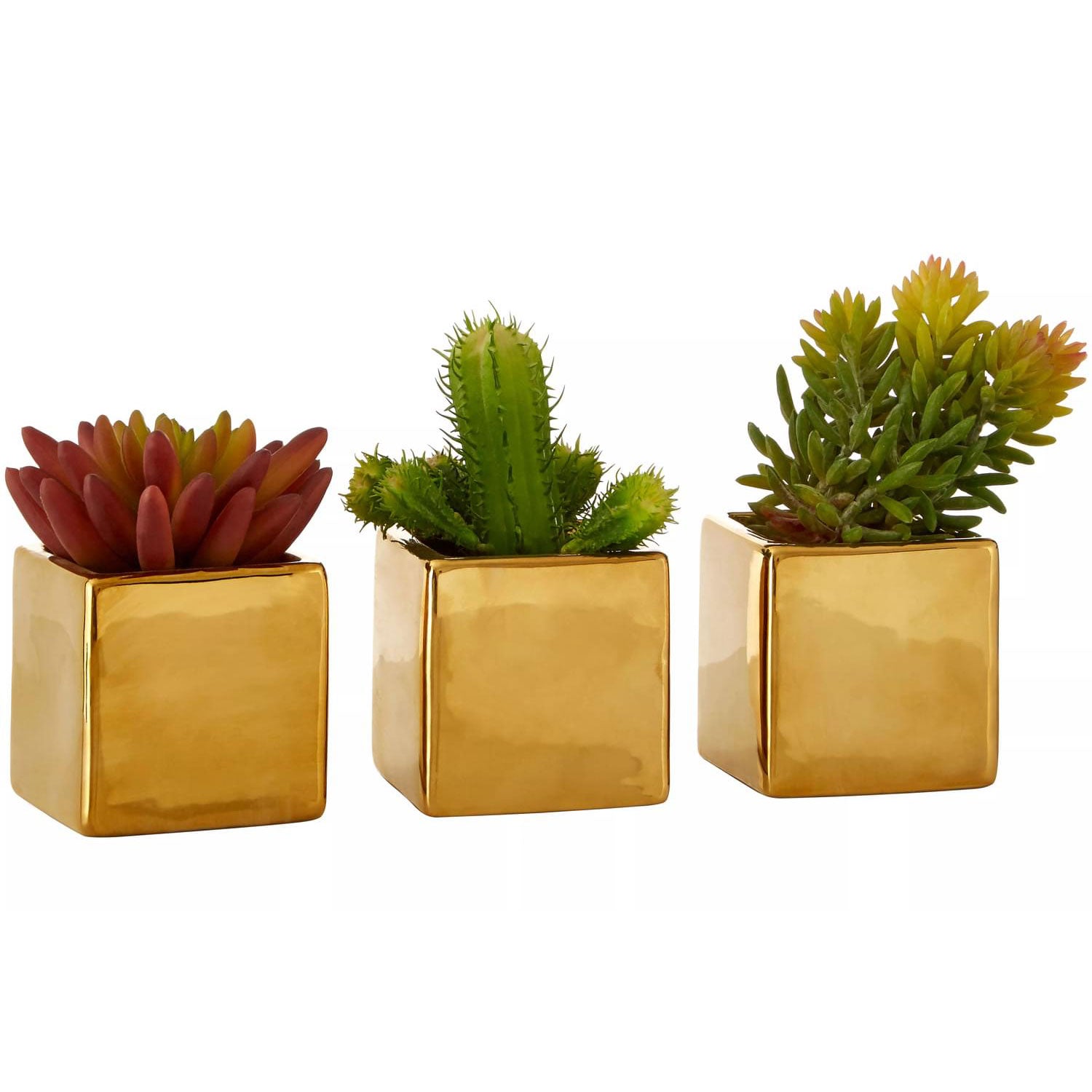 Fiori Mini Succulents in Gold Pots - Set of 3 – Julian Charles Home
