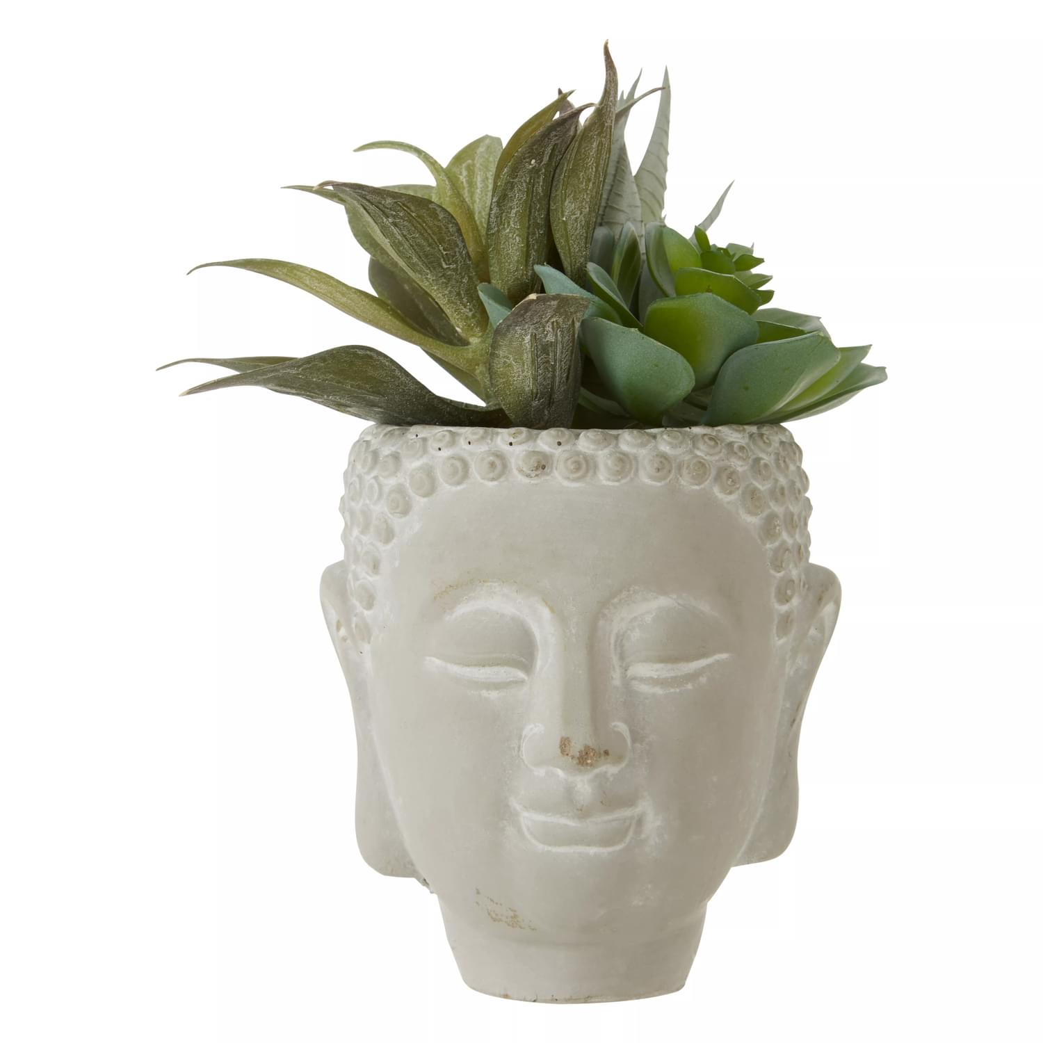 Fiori Buddha Pot Mixed Succulent – Julian Charles Home