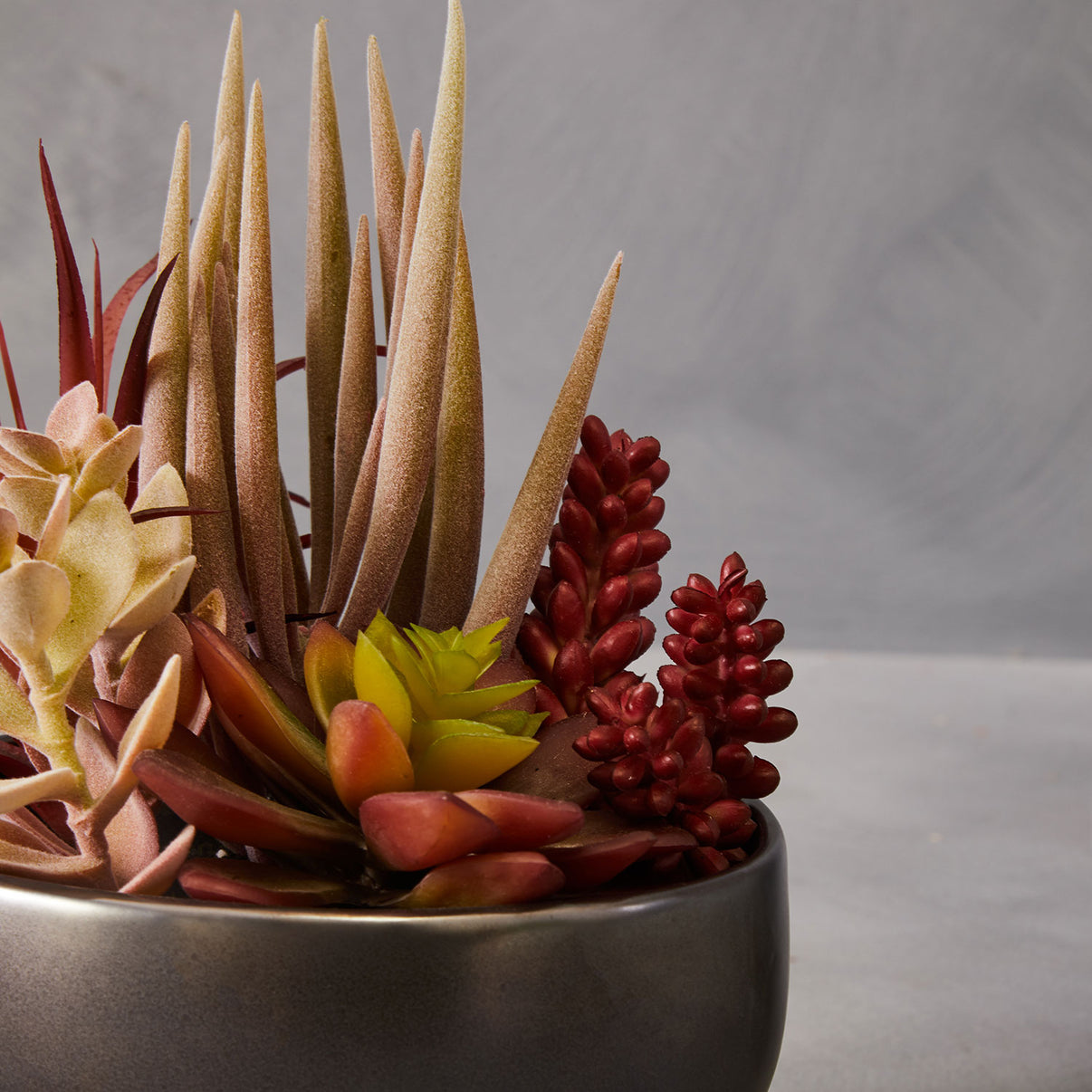 Fiori Mixed Succulents In Large Grey Ceramic Pot – Julian Charles Home