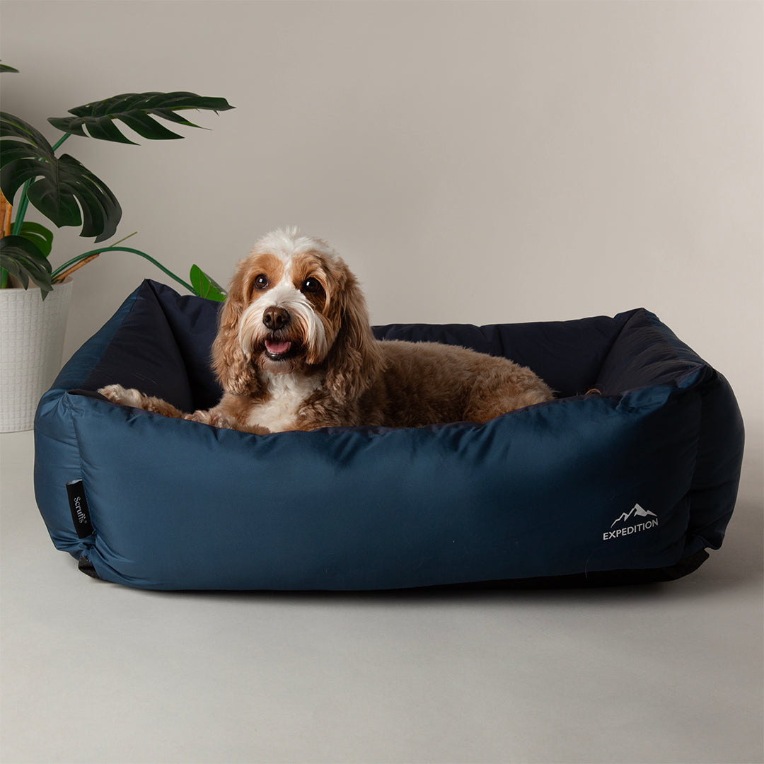 Scruffs Expedition Atlantic Blue Dog Box Bed – Julian Charles Home