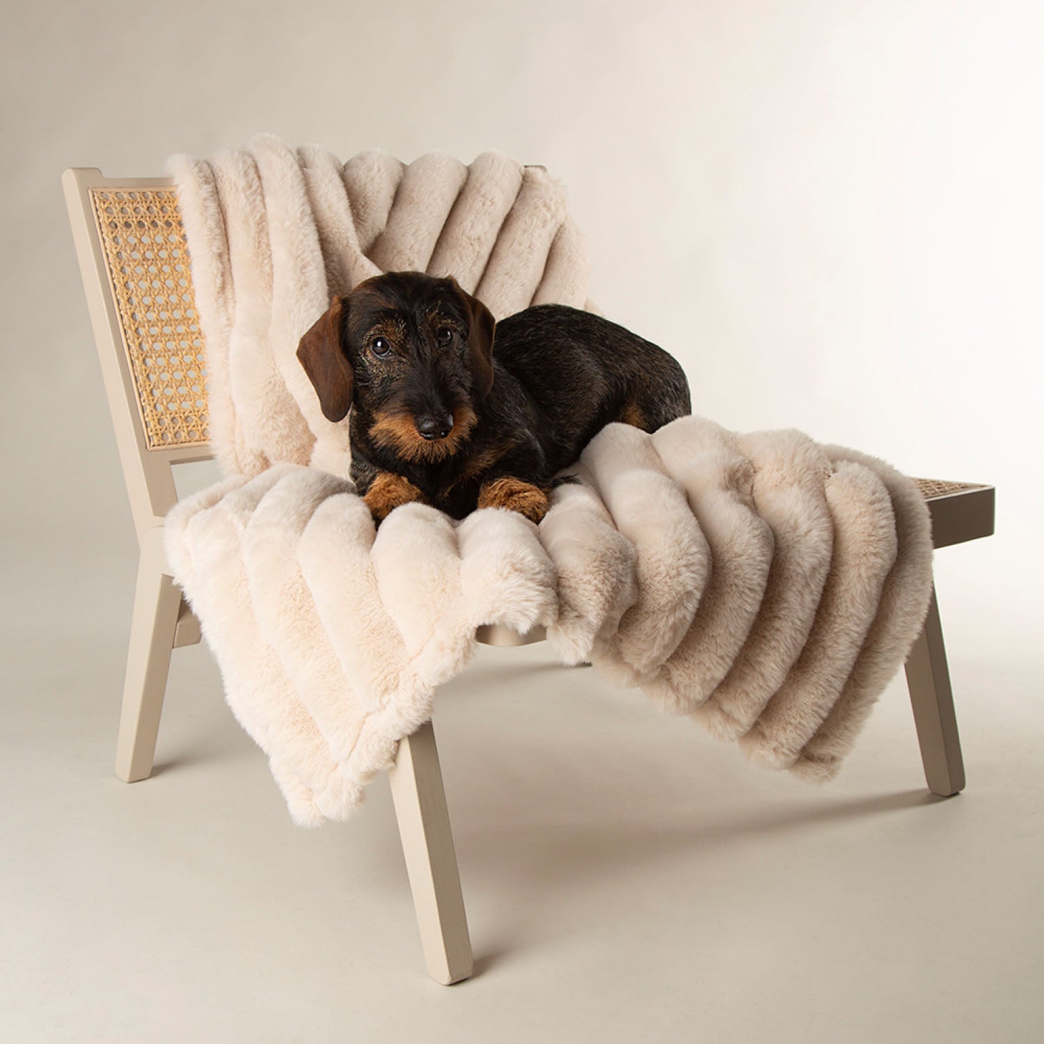 Scruffs Aspen Cream Faux Fur Pet Blanket – Julian Charles Home